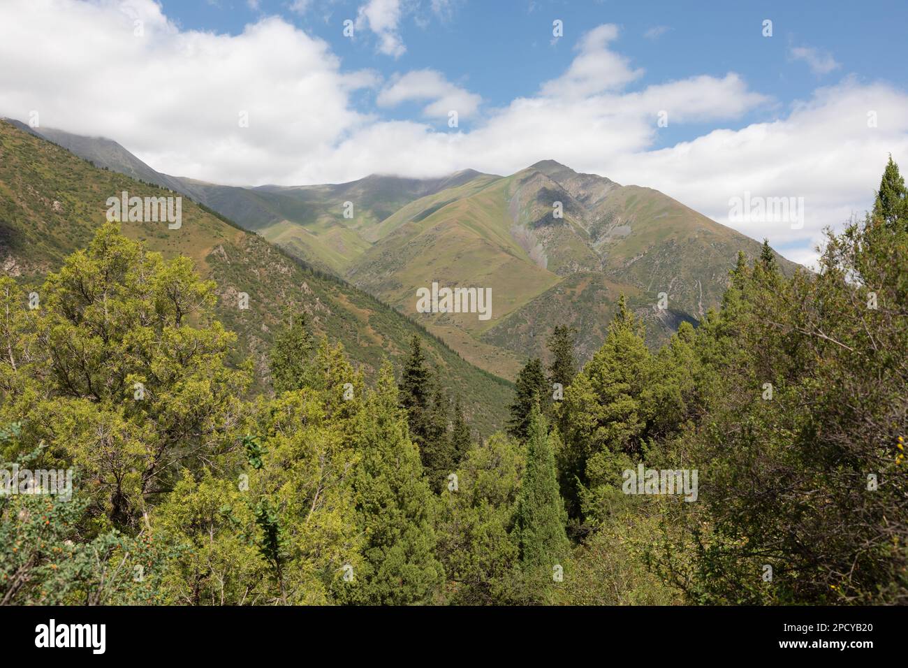 Landscape Ala Archa National Park, Kyrgyzstan Stock Photo - Alamy