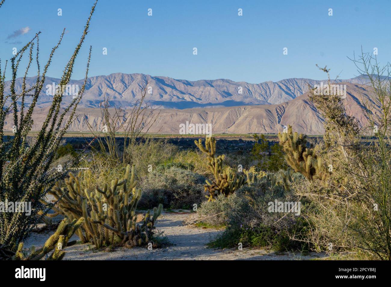 Bath in the Anza Borregoo desert valley with view of foliage and ...