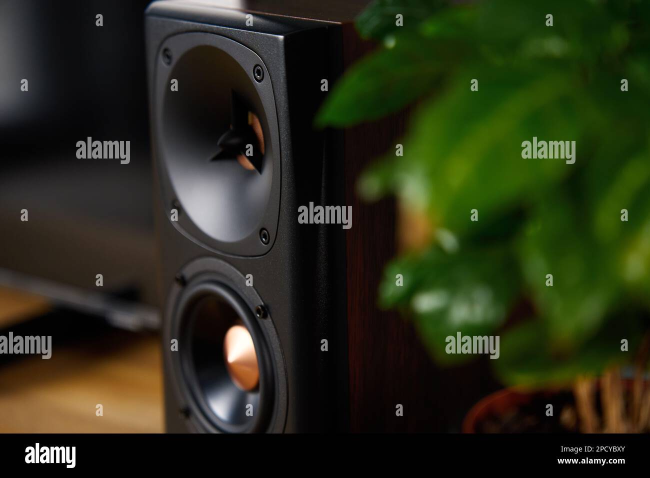 Sound speaker in living room interior. Set for listening music. Audio ...