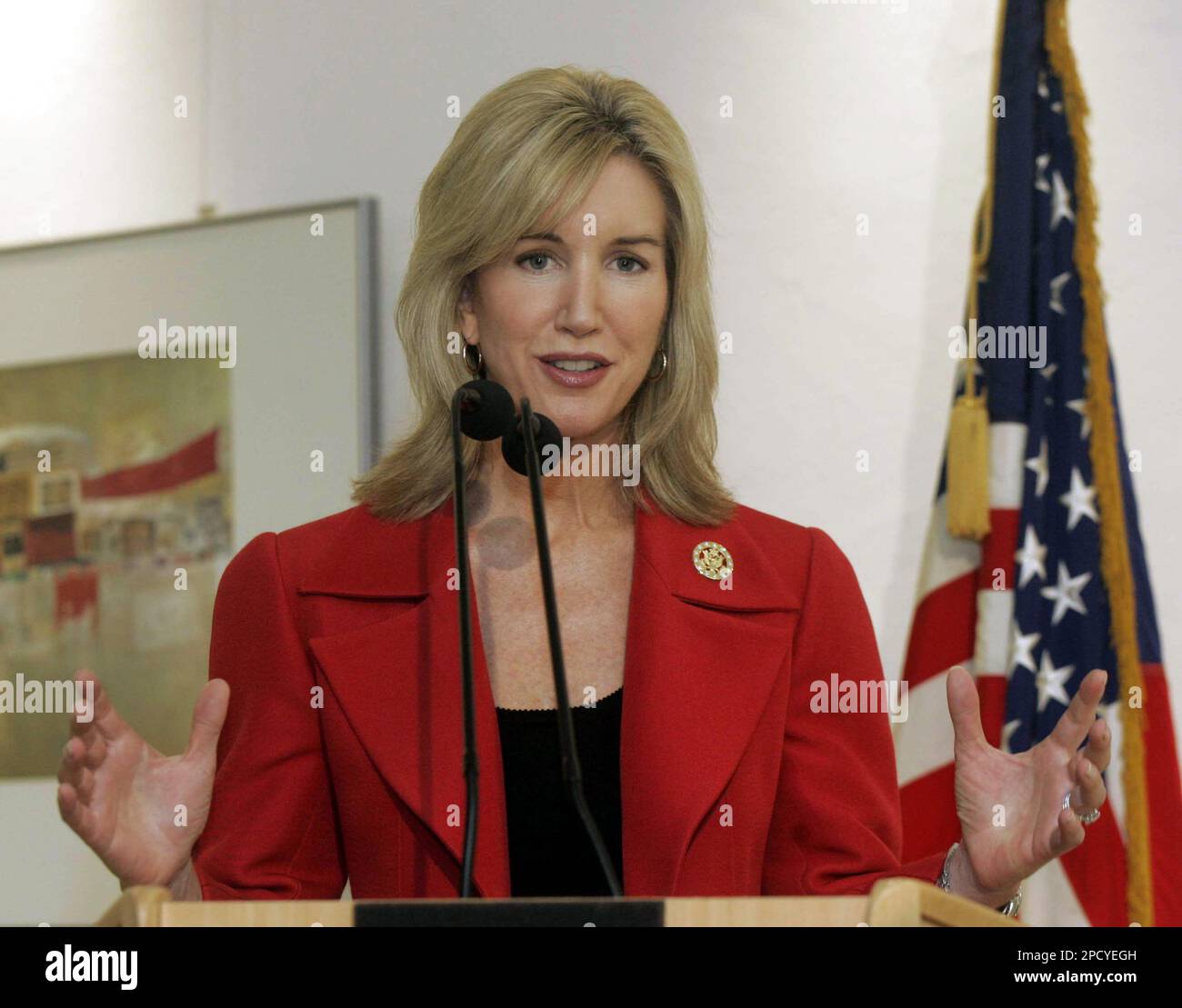 U.S. Ambassador to Austria Susan McCaw adresses the foreign press in ...
