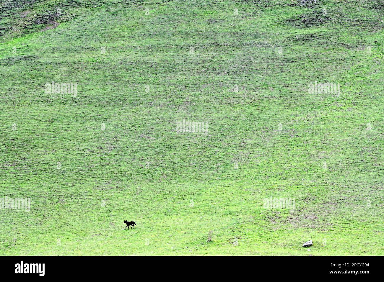 Military Highway, Georgia Stock Photo - Alamy
