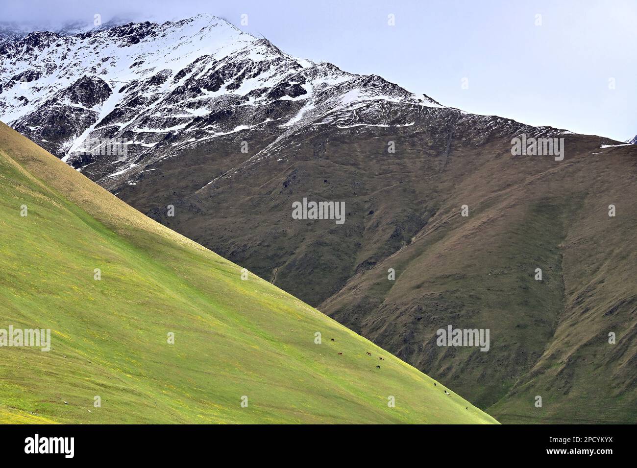 Military Highway, Georgia Stock Photo - Alamy