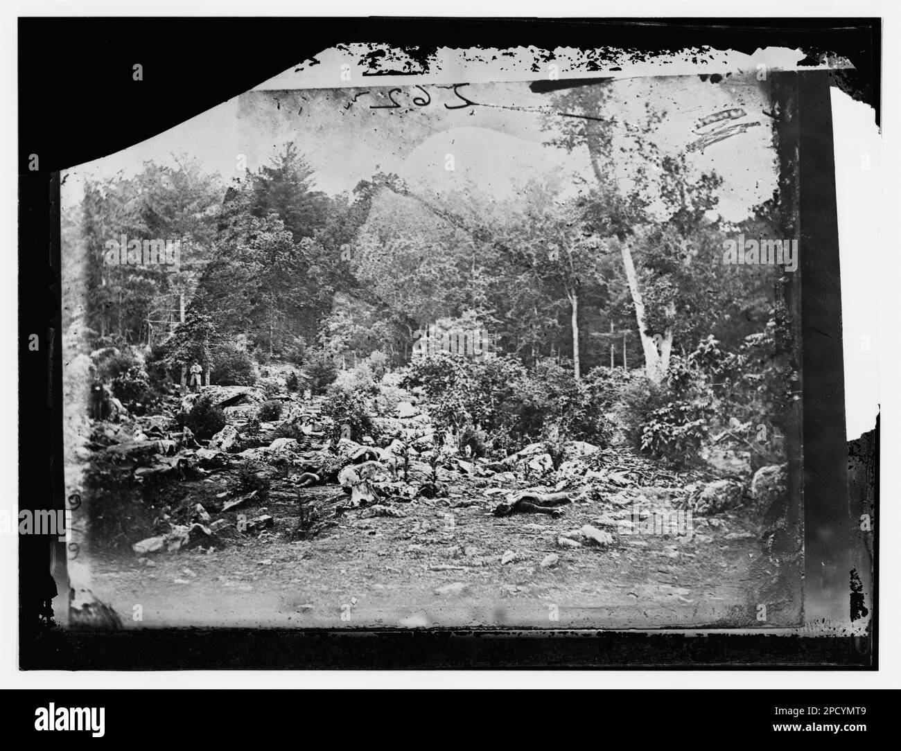 Gettysburg, Pennsylvania. "Slaughter pen" on left wing. Civil war ...