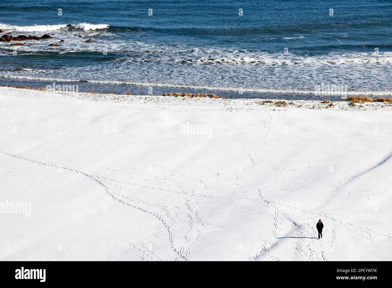 Cullen Bay Golf Course Moray Scotland footprints in the snow and a lone ...