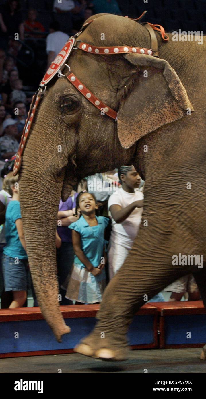 Spectators react as an elephant walks by during the Pre-Show of the ...