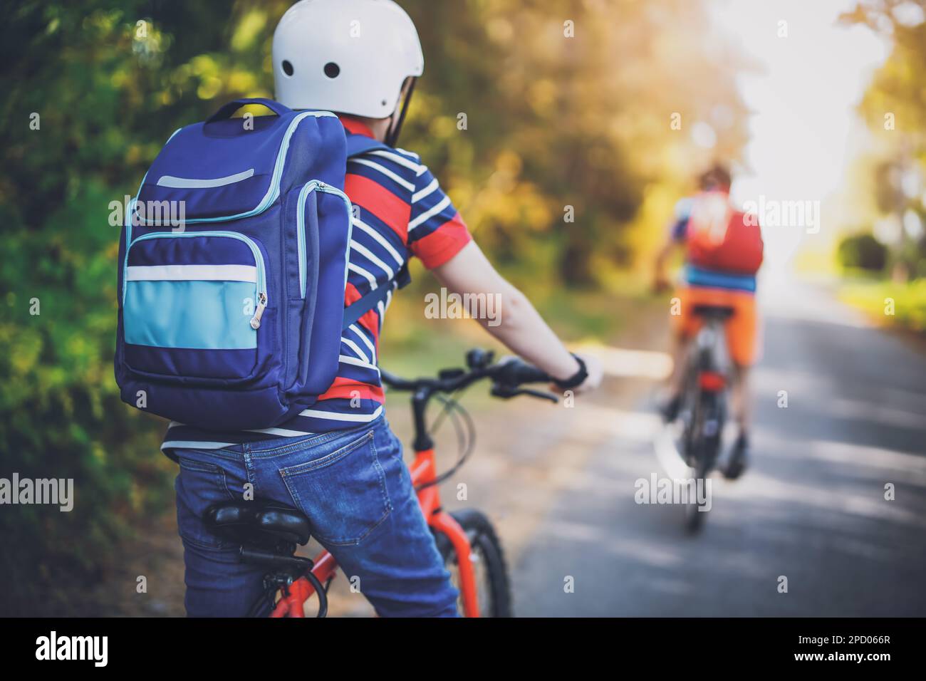Children riding on bicycles on asphalt road in summer Stock Photo - Alamy