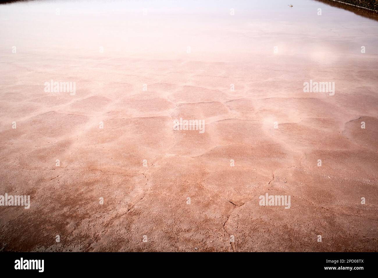 pink concentrated salt solution in one of the final stages tanks ...