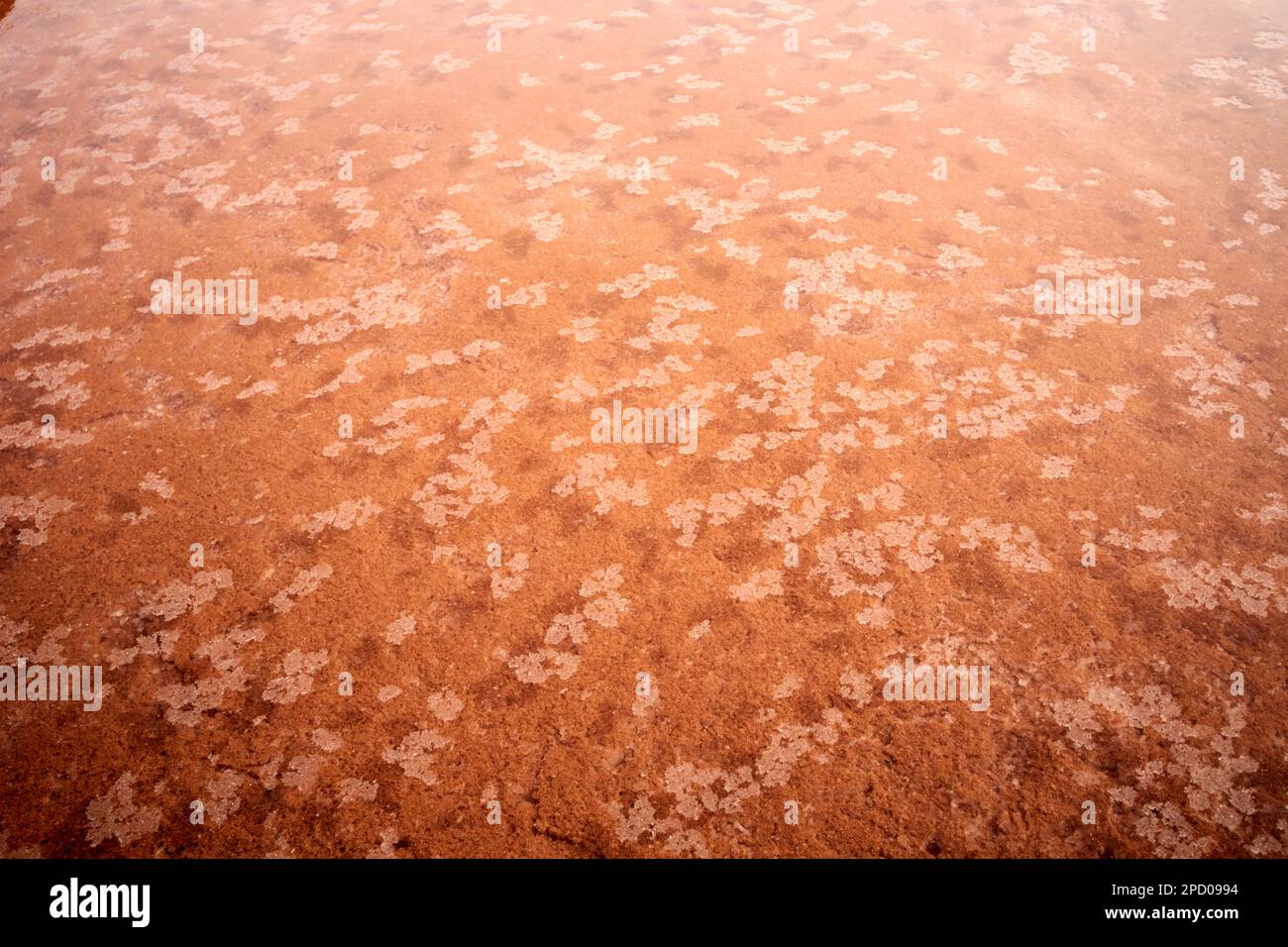 pink super concentrated salt water solution in final evaporation tank ...