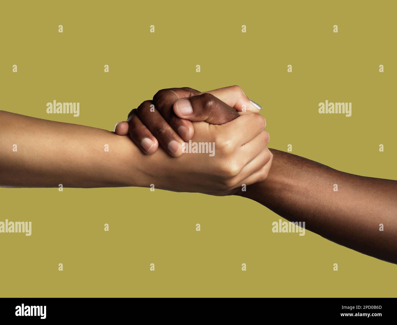 Diversity, handshake and grip for unity, support or deal in trust or ...
