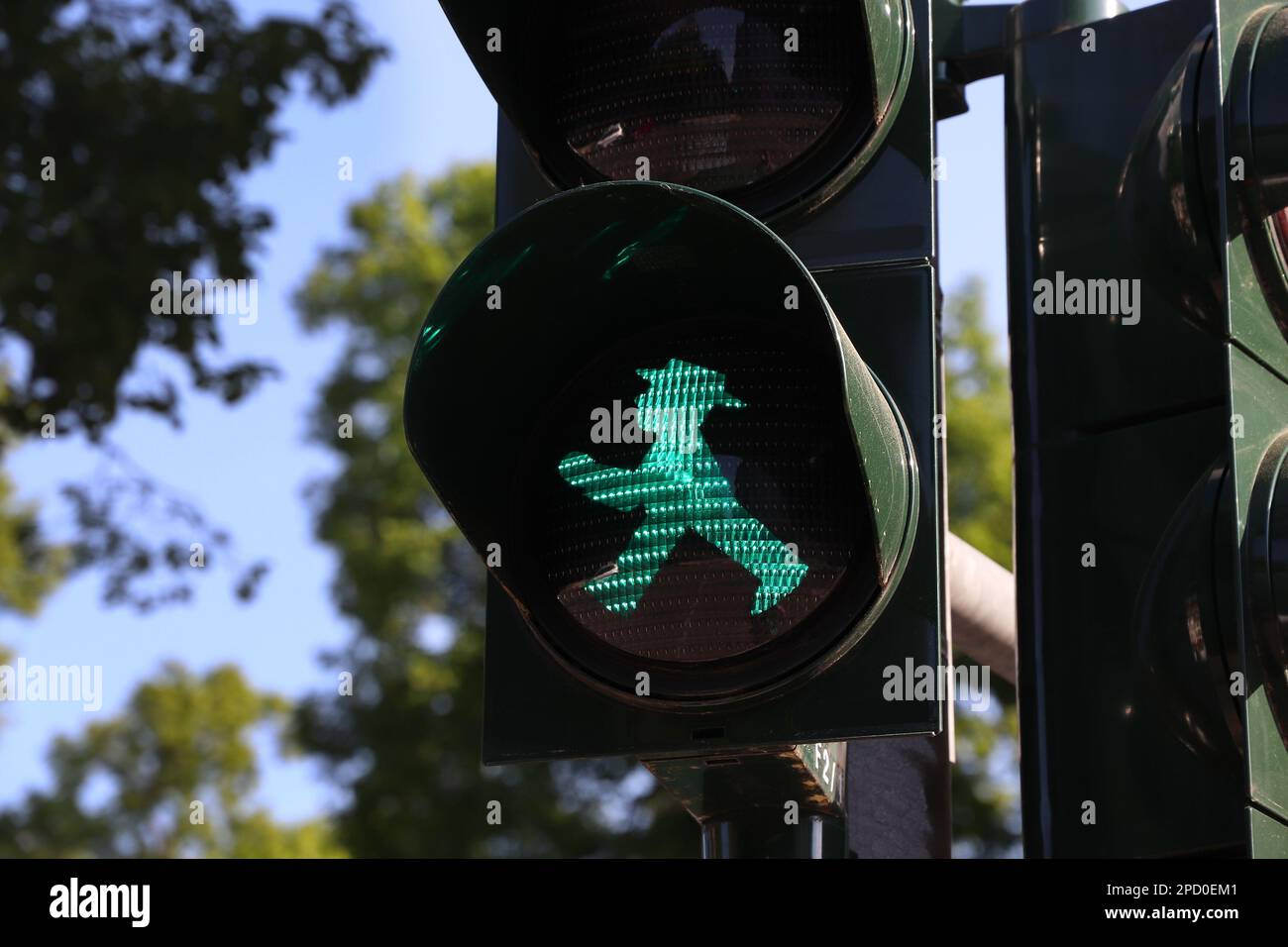German traffic light - pedestrian green light. Typical pedestrian ...
