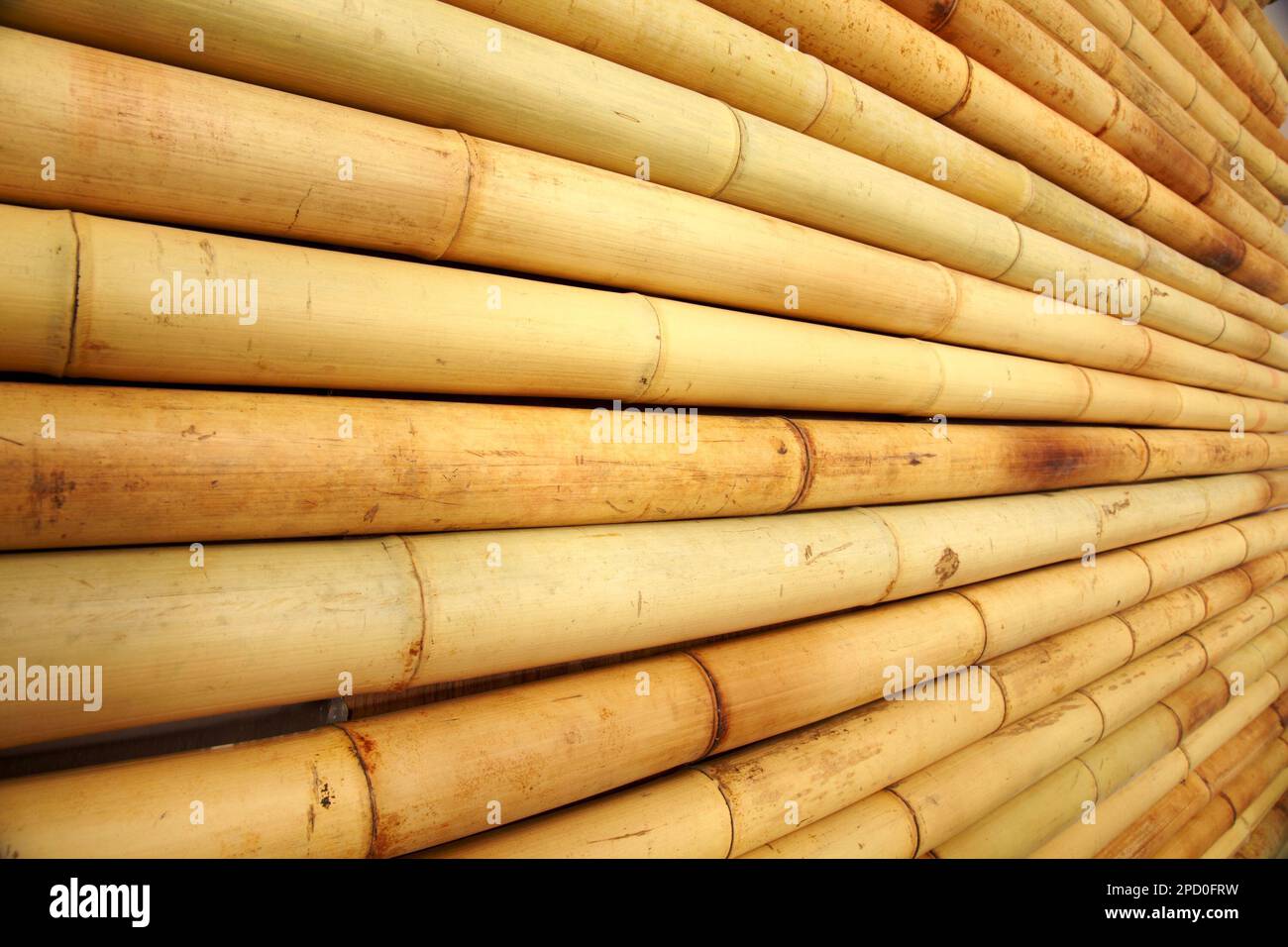 Bamboo cane background texture Stock Photo - Alamy