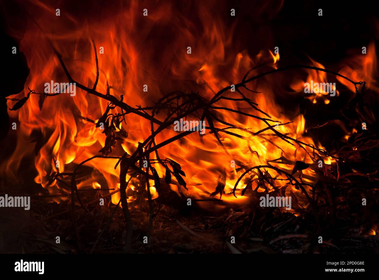 Fire. High quality photo Stock Photo - Alamy