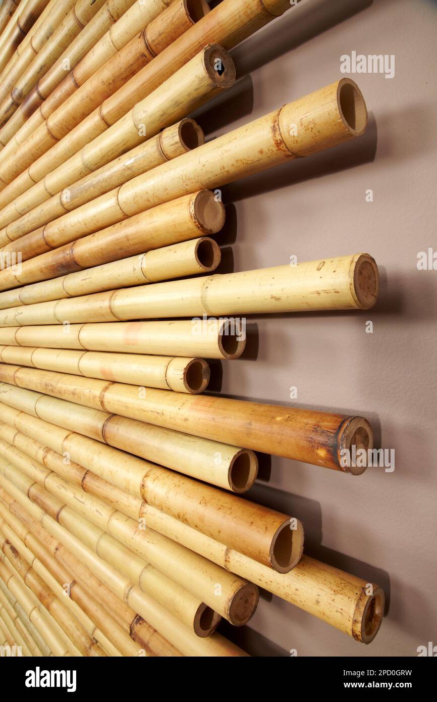 Bamboo cane background texture Stock Photo - Alamy