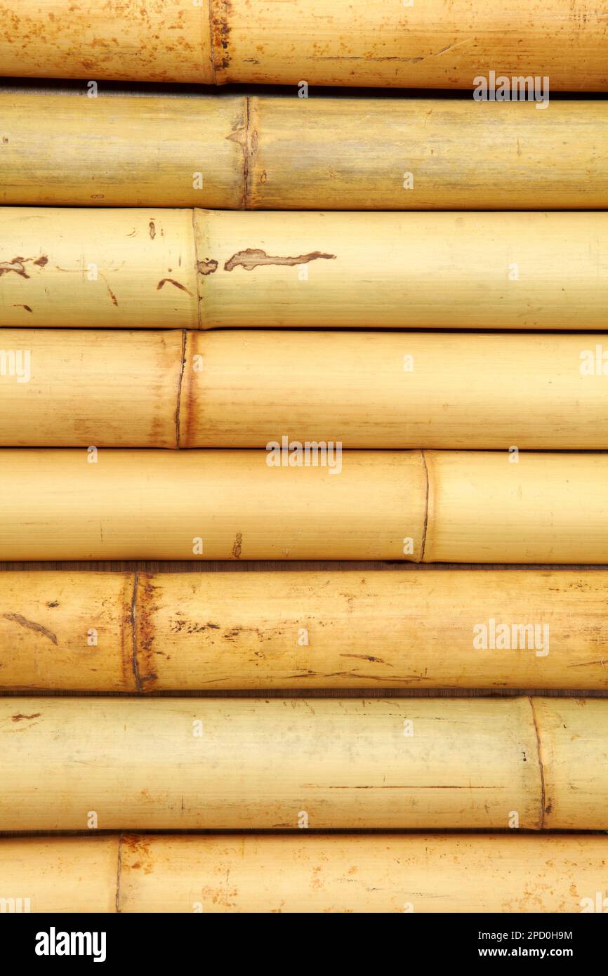 Bamboo cane background texture Stock Photo - Alamy