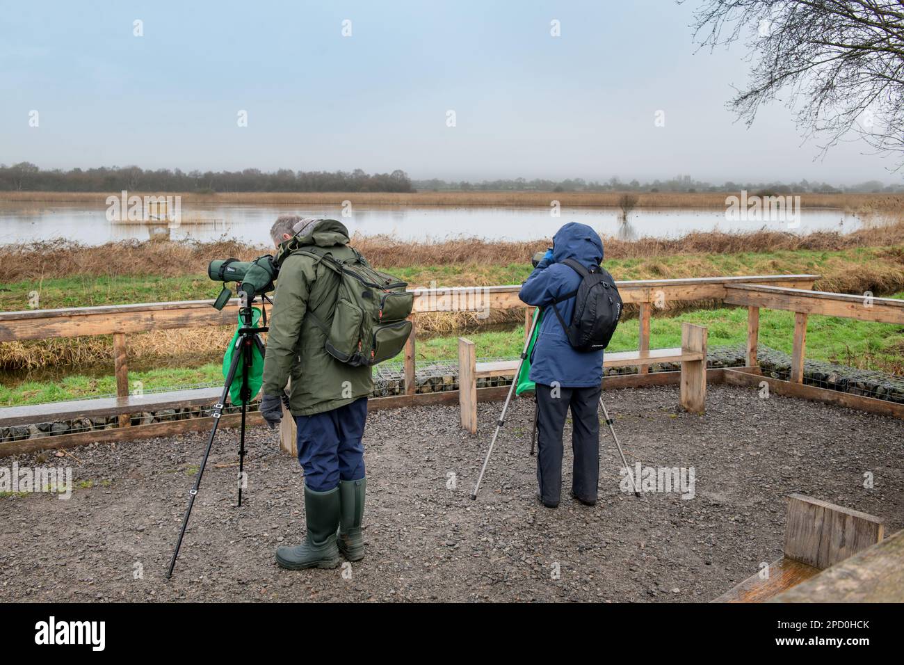 Bird watchers at RSPB Ham Wall in Meare near Glastonbury, UK Stock ...