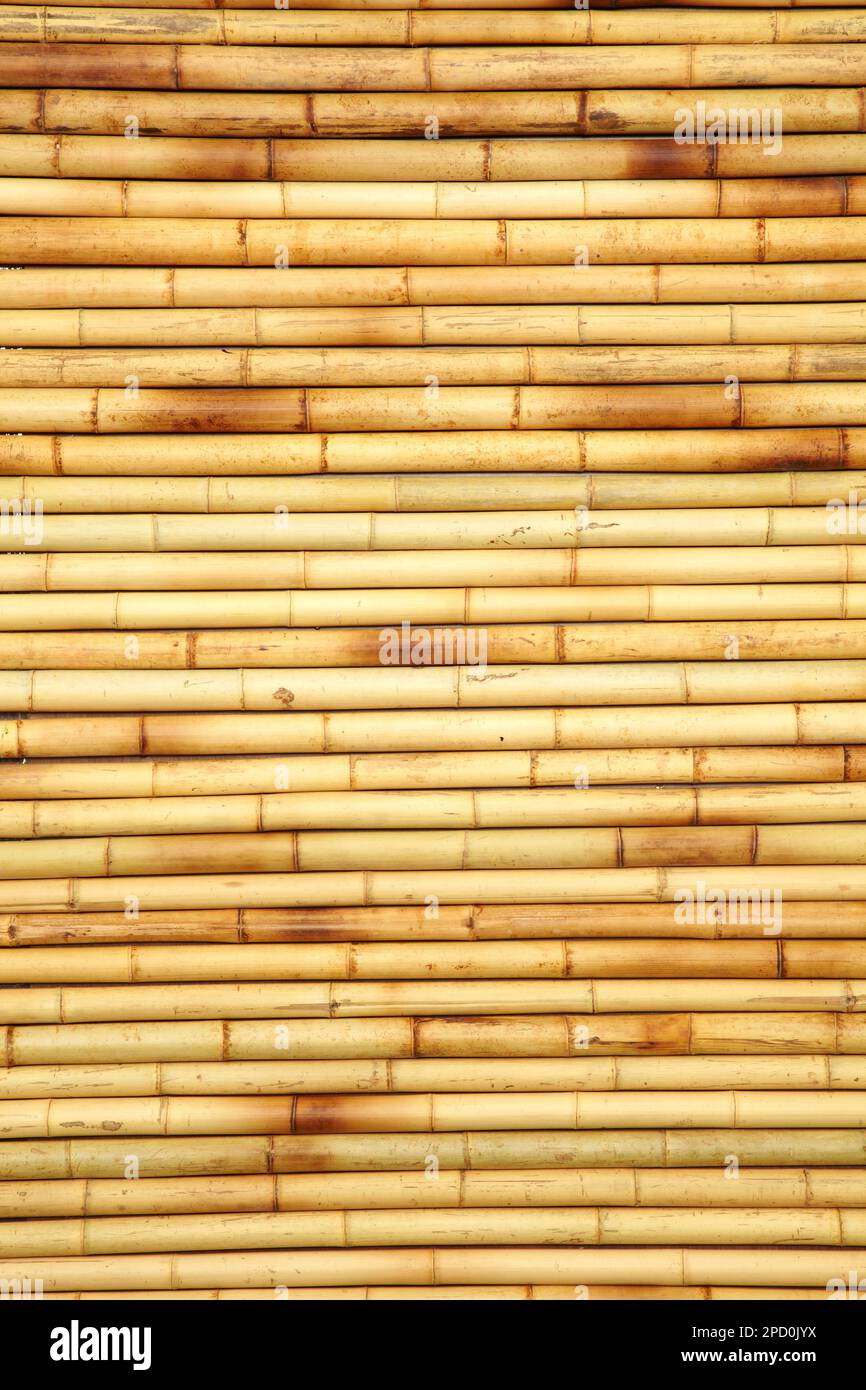 Bamboo cane background texture Stock Photo - Alamy