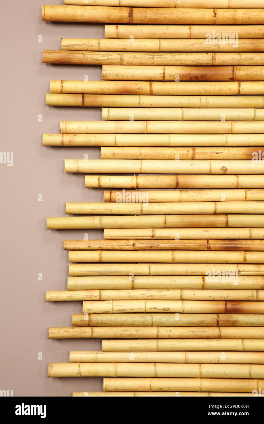 Bamboo cane background texture Stock Photo - Alamy