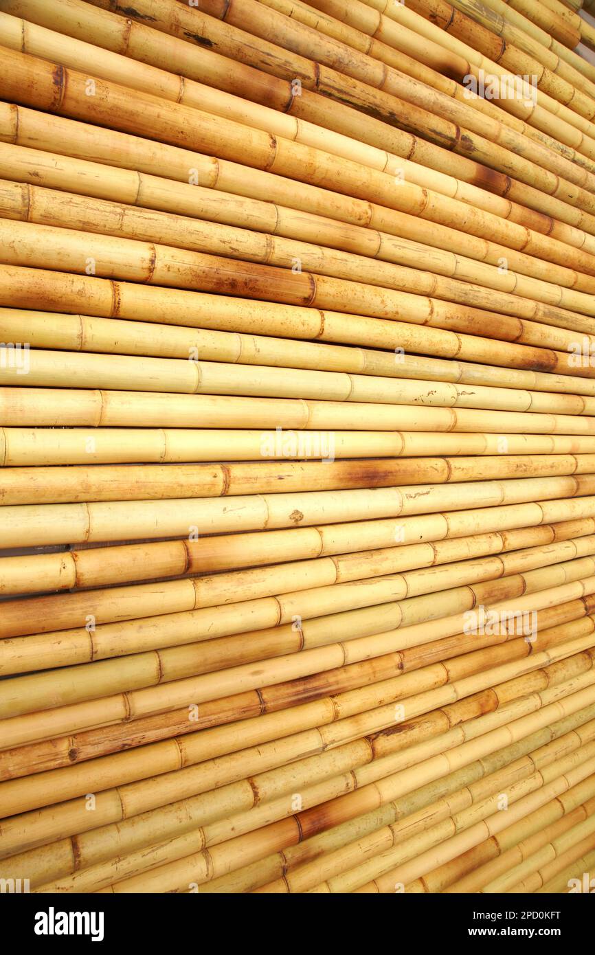 Bamboo cane background texture Stock Photo - Alamy