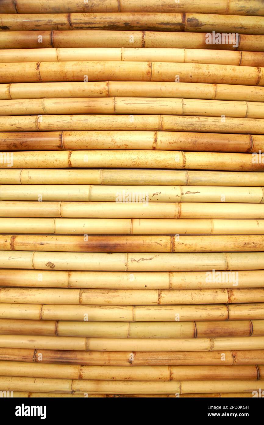 Bamboo cane background texture Stock Photo - Alamy