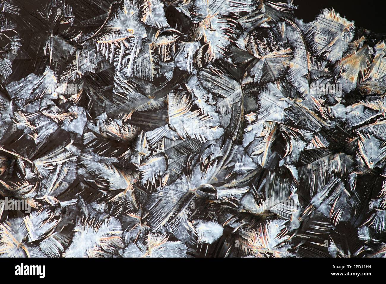 Crystals of l-arginine, microscope image Stock Photo - Alamy