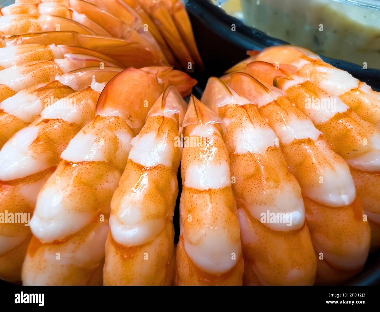 Macro close-up of arranged in a circle shrimps Stock Photo - Alamy