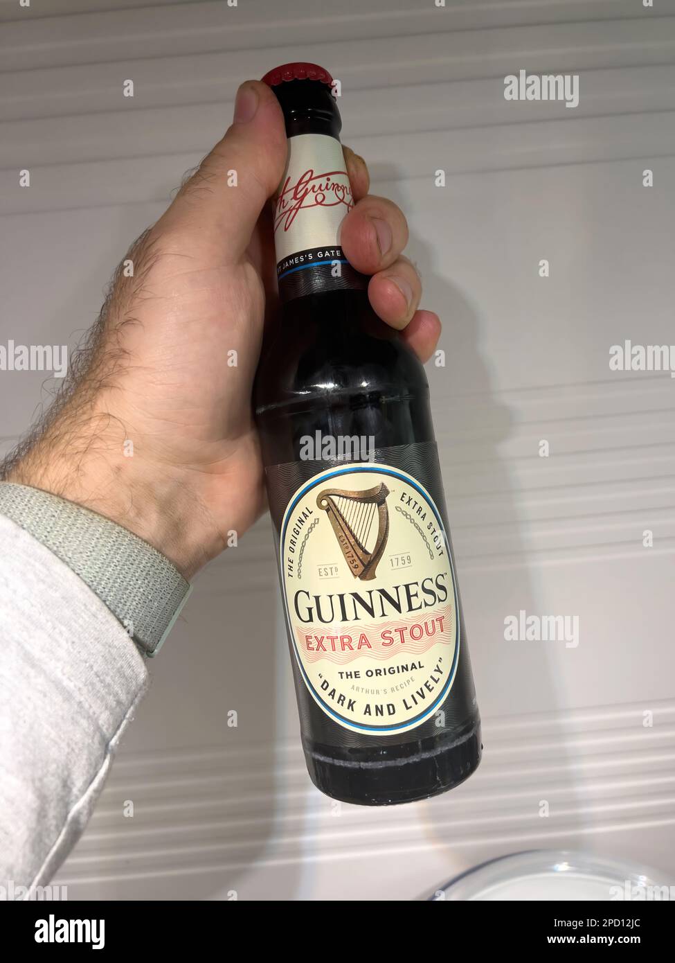 Germany, Munich - Apr 13, 2022: POV male hand holding Guinness Extra ...