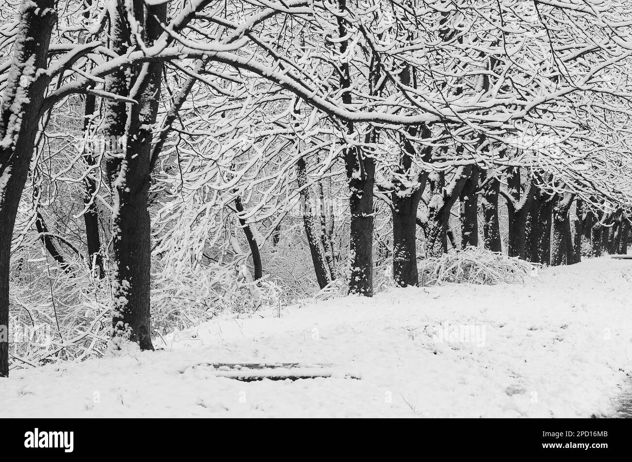 Sun snow vacation Black and White Stock Photos & Images - Alamy