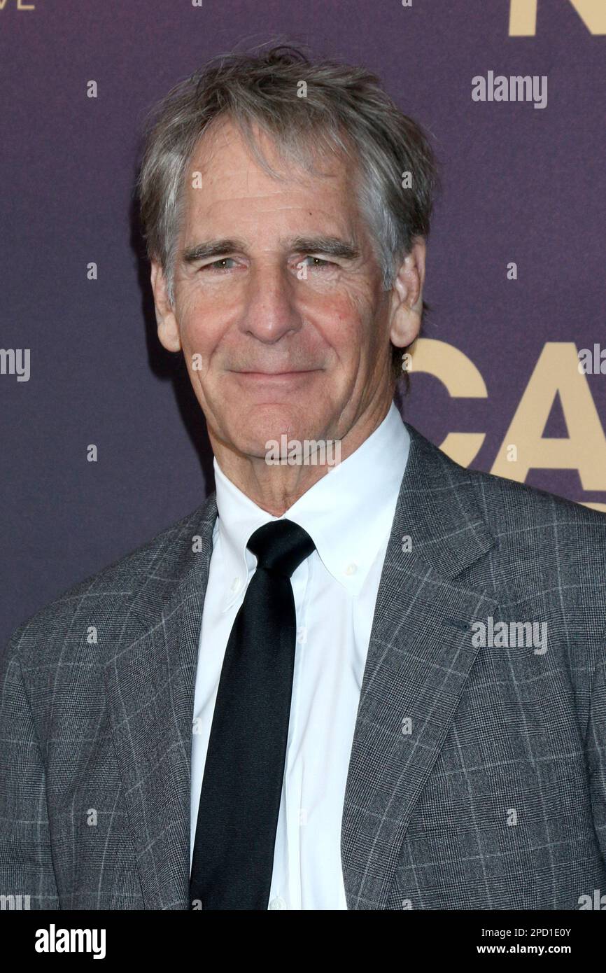 Scott Bakula Looking Steam Room