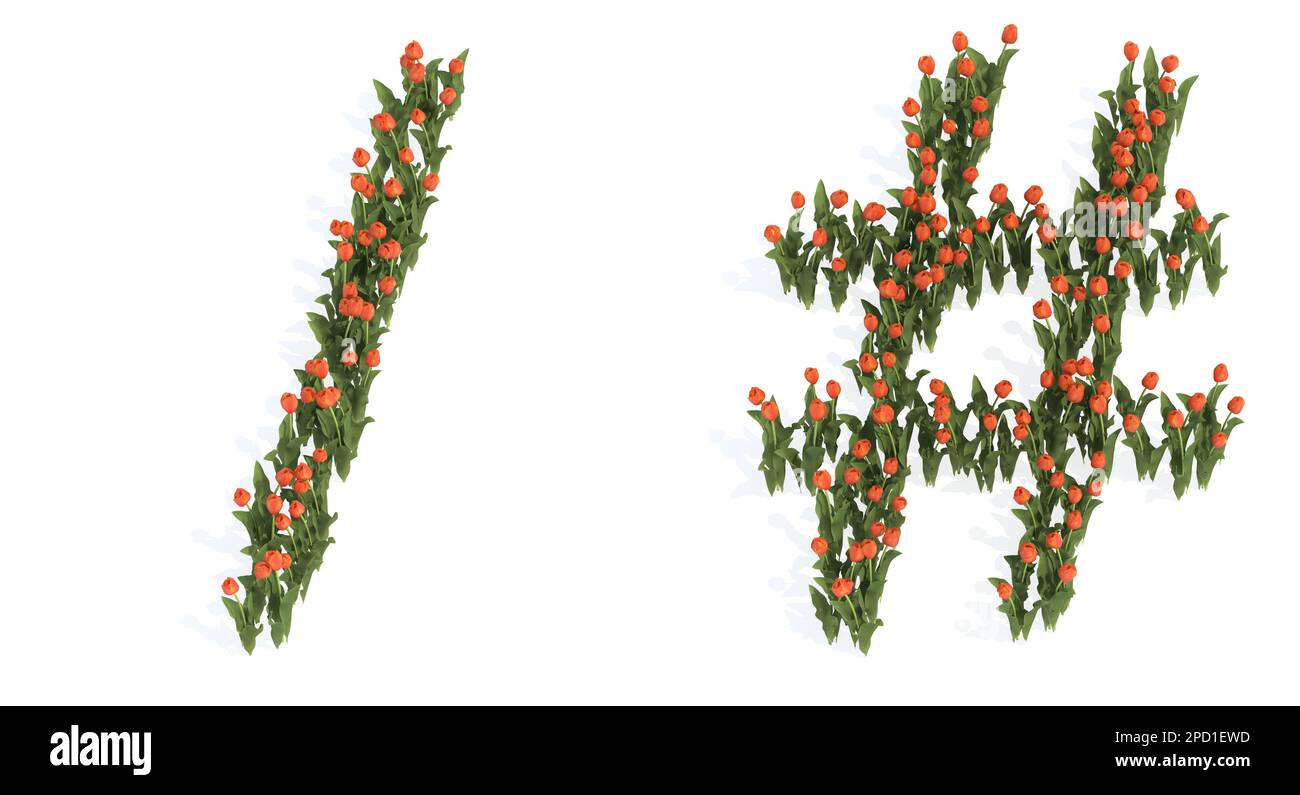 Concept or conceptual set of beautiful blooming tulip bouquets forming ...