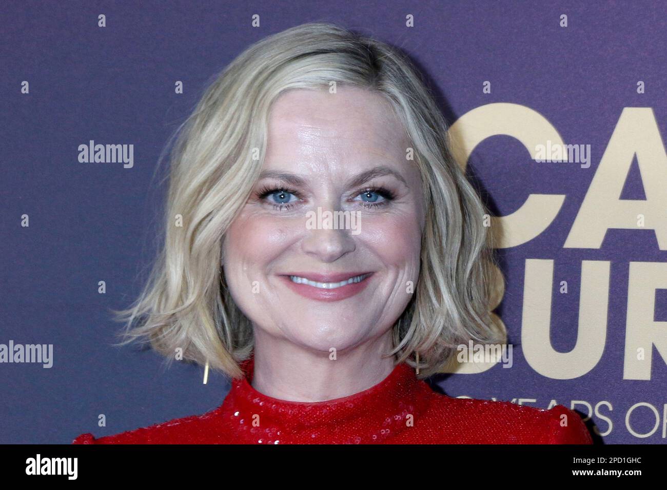 Amy Poehler at the Carol Burnett - 90 Years of Laughter and Love ...