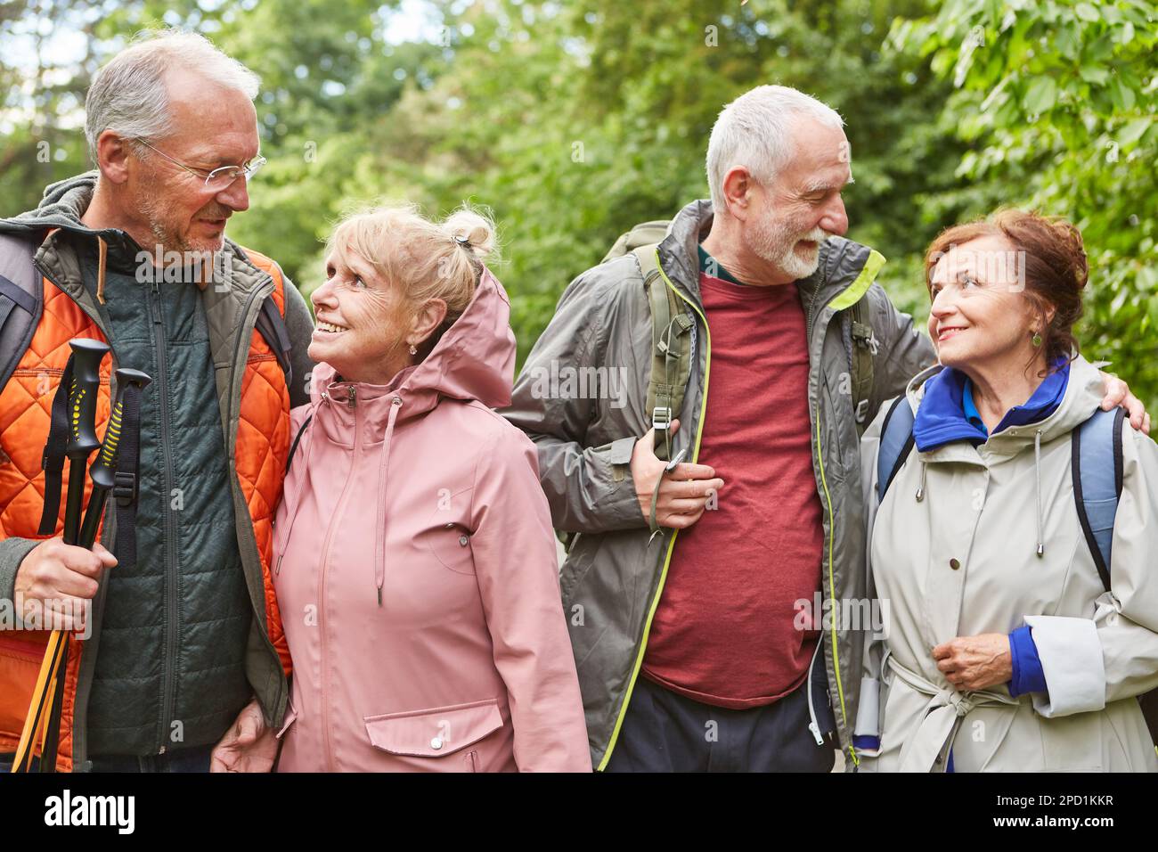 Happy elderly couples with poles and backpacks hiking together in ...