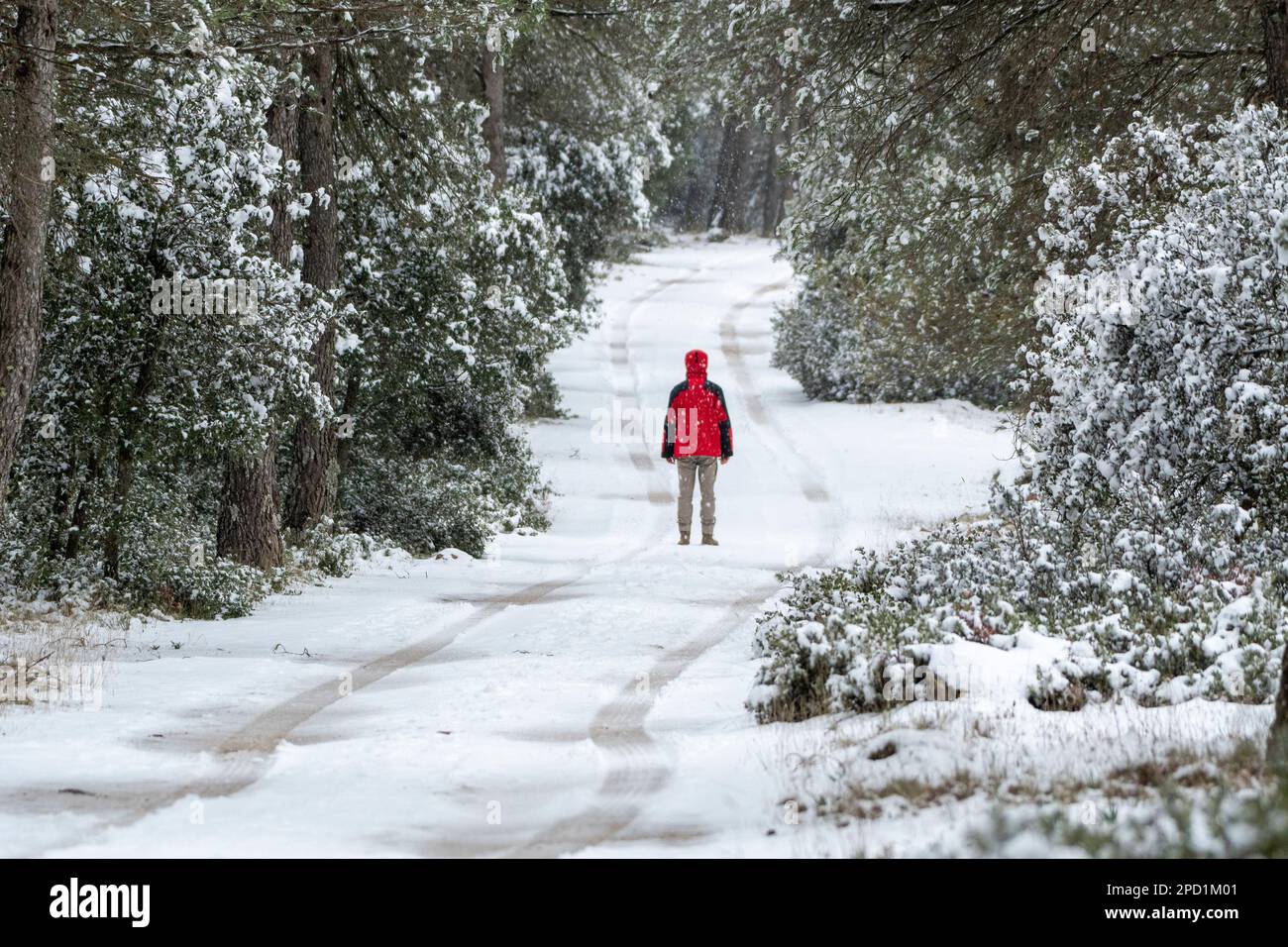 A person walking in the winter snow, wearing full-length clothing to ...