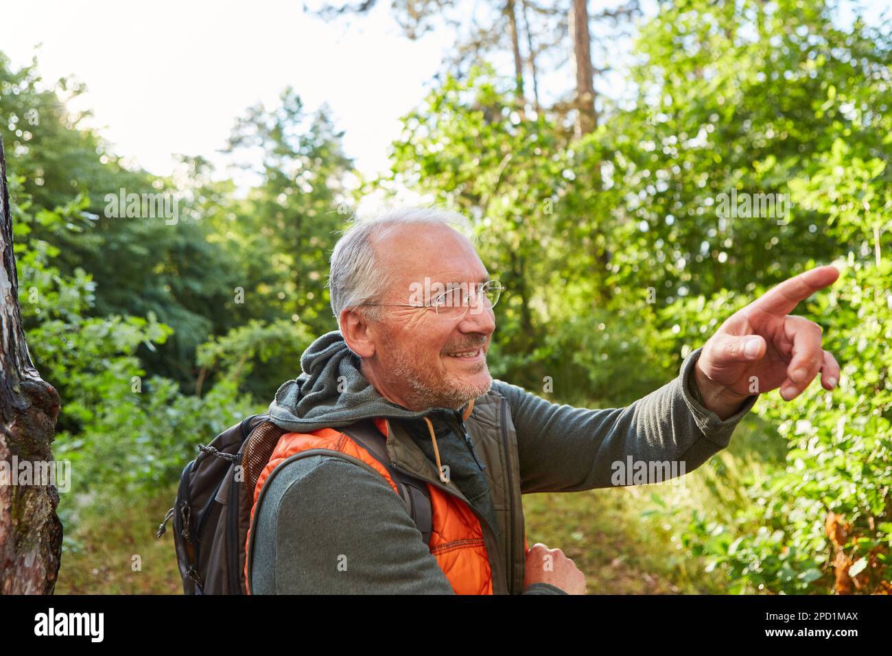 Smiling senior man with backpack pointing while exploring forest during ...