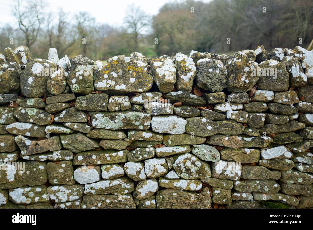 Cotswold stone wall texture hi-res stock photography and images - Alamy