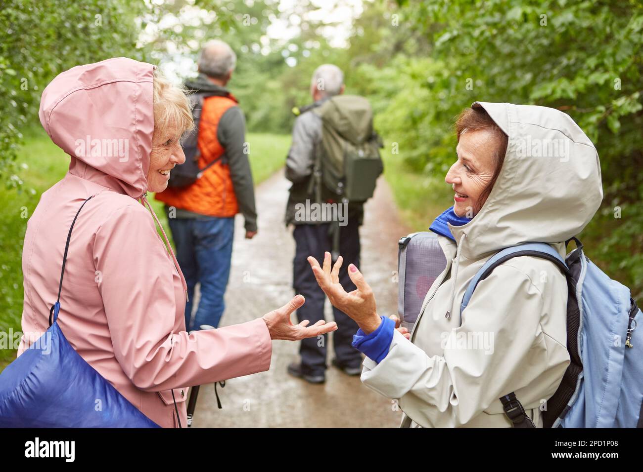 Senior people hiking together as a group in rainy fall forest Stock ...