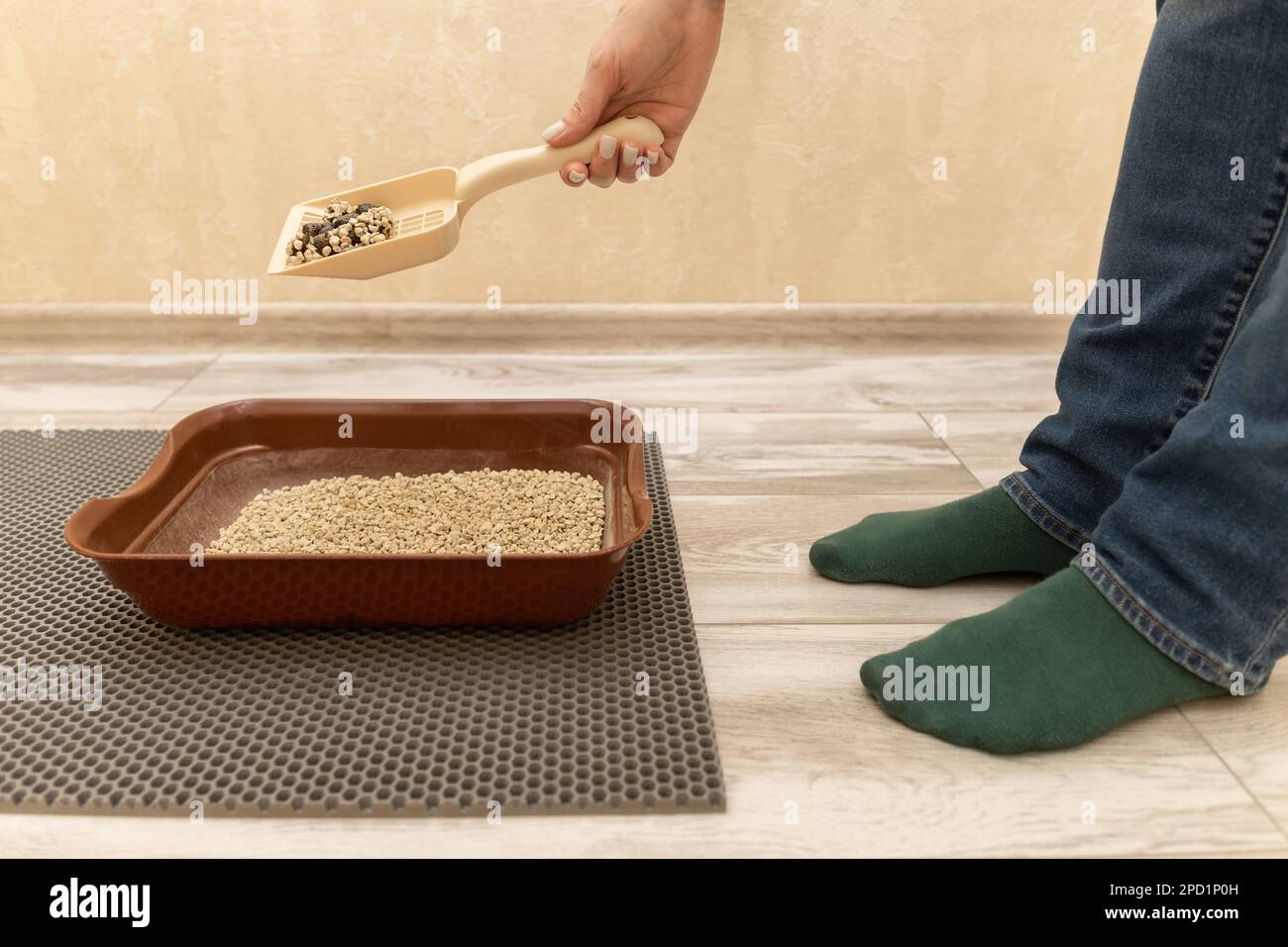 man cleans cat litter with a shovel. cat litter cleaning. cat feces ...