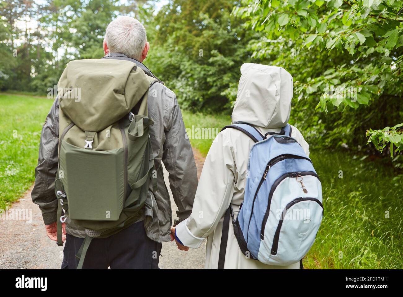 Rear view of elderly couple in jackets carrying backpacks while hiking ...