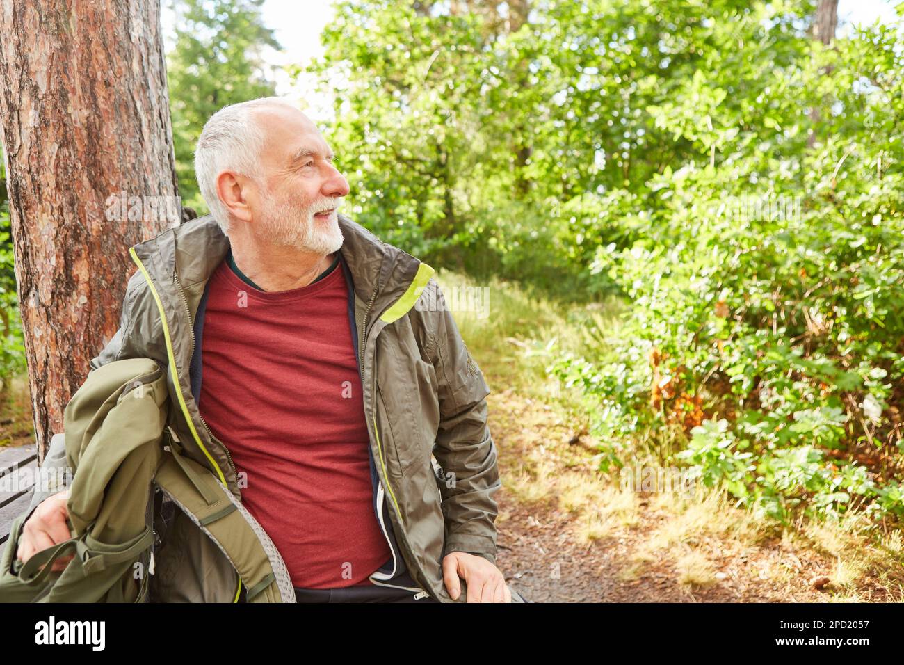 Adventure forest hi-res stock photography and images - Alamy