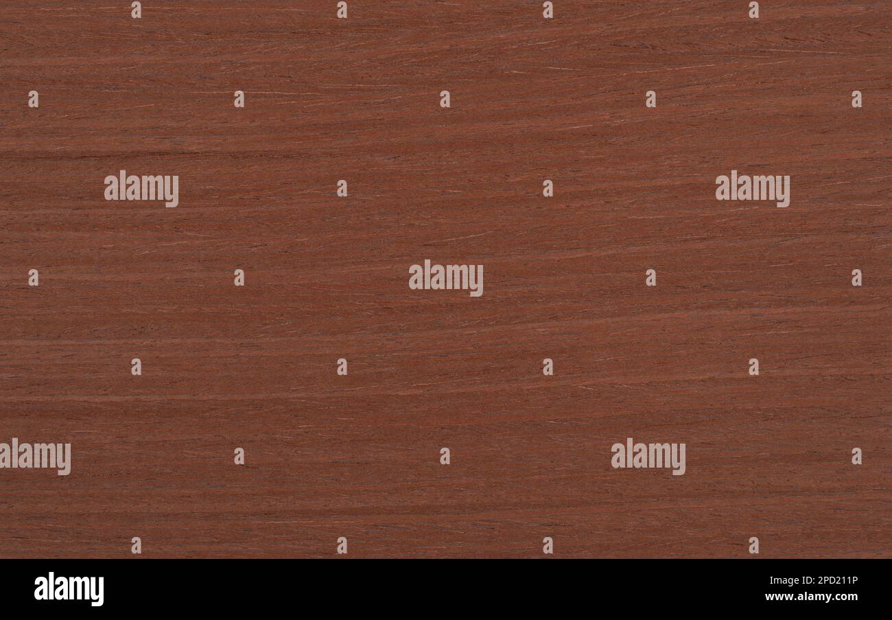 Mahogany wood texture hi-res stock photography and images - Alamy
