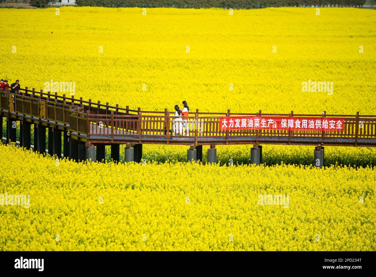 Changsha, China's Hunan Province. 14th Mar, 2023. Tourists have fun in ...