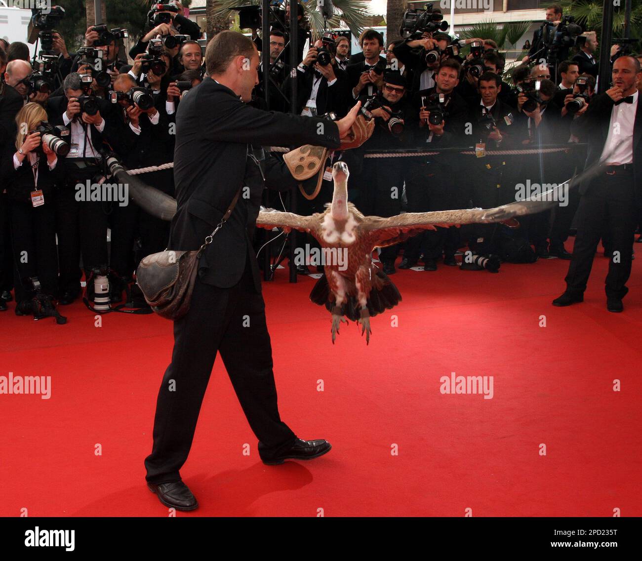 A vulture and its handler appear on the red carpet during arrivals for ...