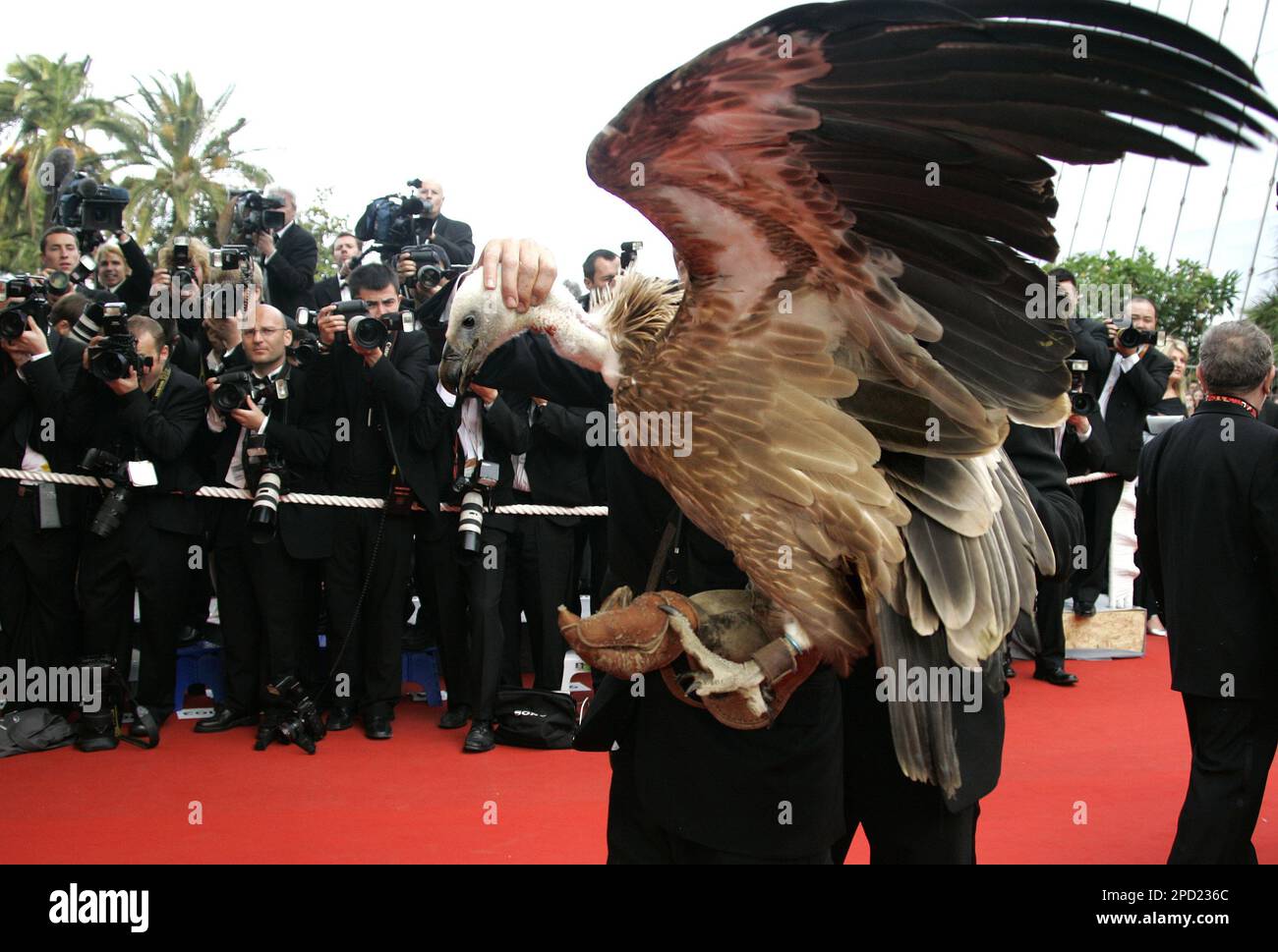 A vulture and its handler appear on the red carpet during arrivals for ...