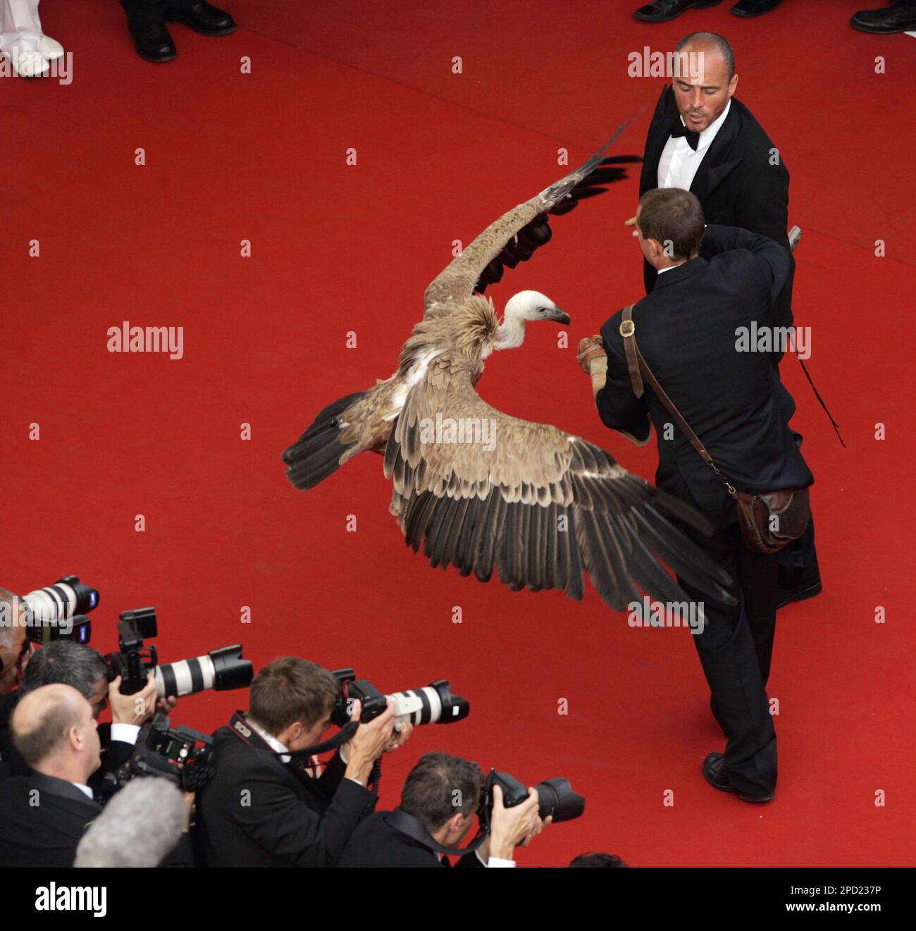 A vulture and its handler appear on the red carpet during arrivals for ...