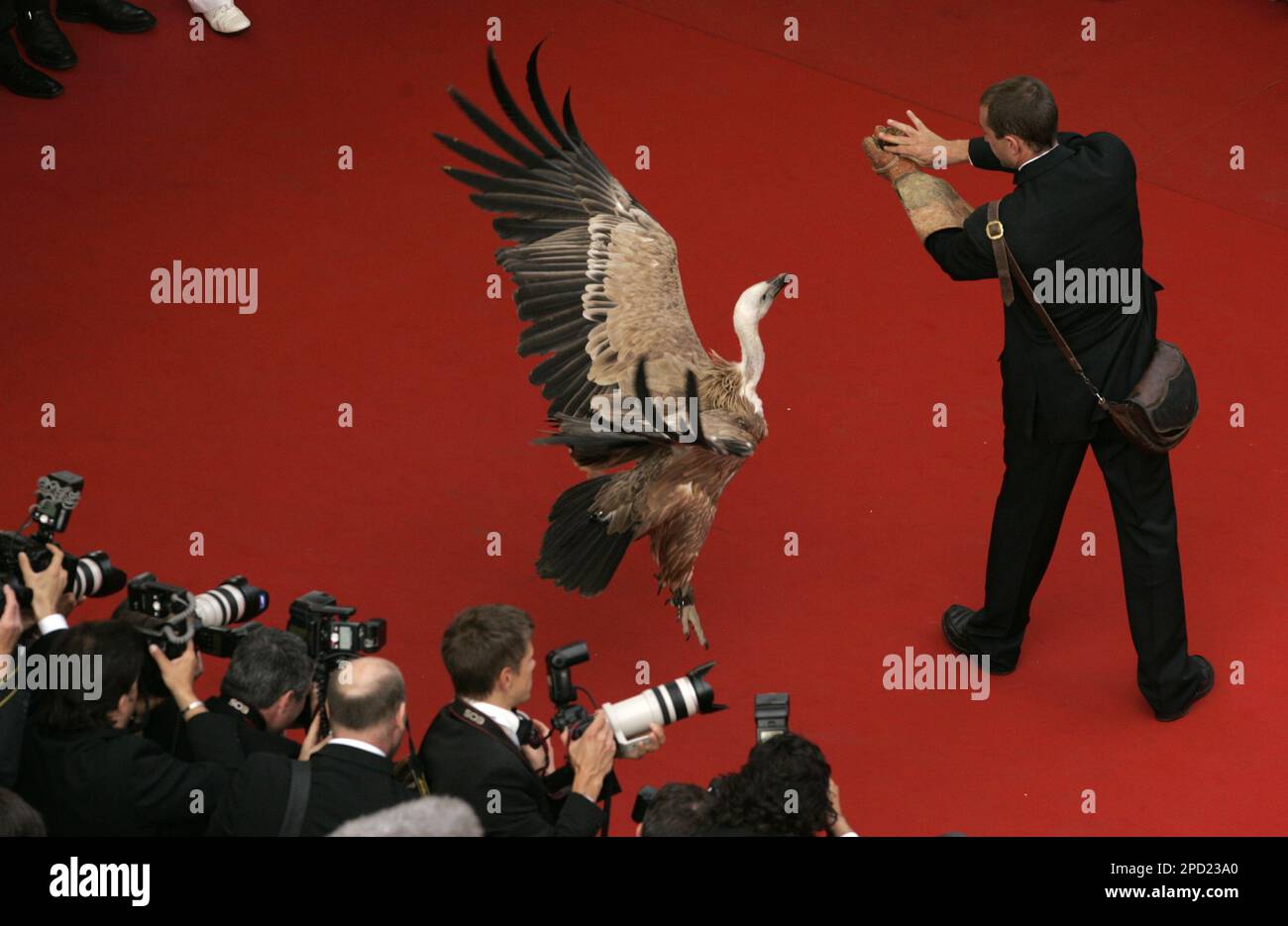 A vulture and its handler appear on the red carpet during arrivals for ...
