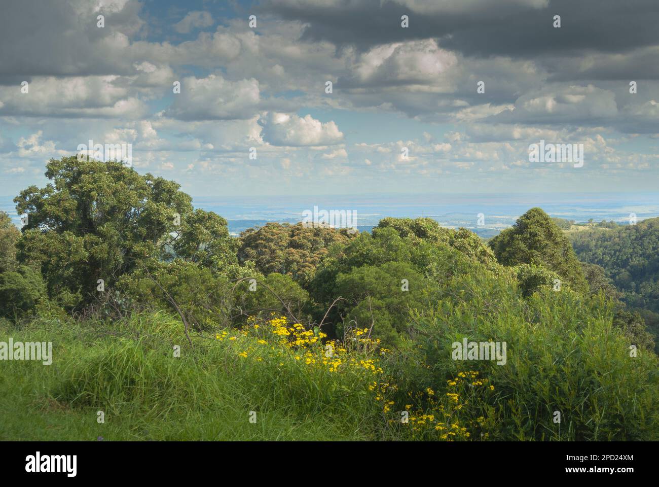 The beautiful views from the top of Mount Mowbullan at the Bunya ...