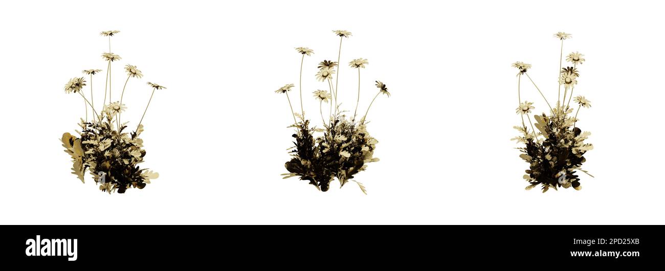 With our amazing 3D render gold plant graphics, you can add a touch of ...