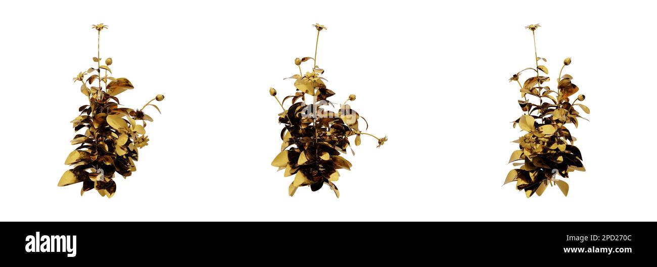 With our amazing 3D render gold plant graphics, you can add a touch of ...