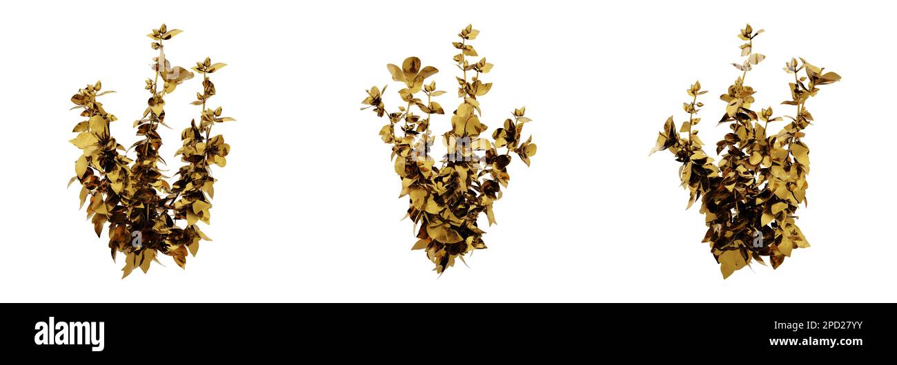 With our amazing 3D render gold plant graphics, you can add a touch of ...