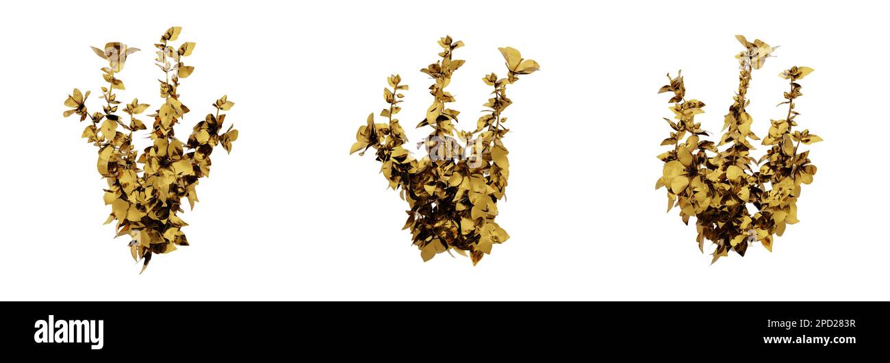 With our amazing 3D render gold plant graphics, you can add a touch of ...