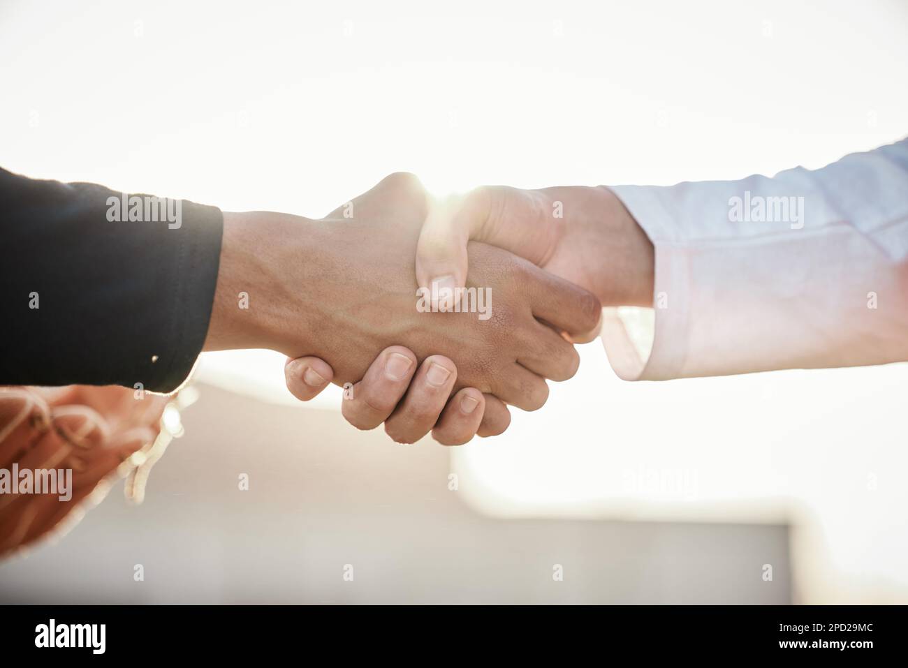 Baseball, sports respect or handshake for team greeting or introduction ...